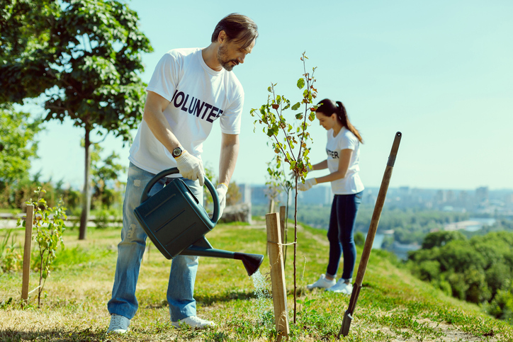 In the media: Does Your Company Want to Help Plant Trees? - NWIBRT